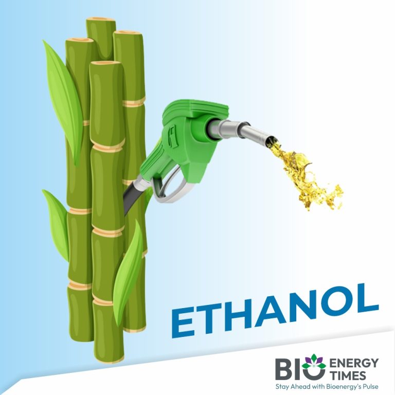 USDA's forecast for India's ethanol scenario - BioEnergytimes