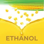 USDA maintains corn use in ethanol forecast for 2024-25, keeps price ...