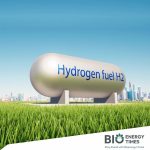 India launches skill development scheme for green hydrogen sector - BioEnergy Times