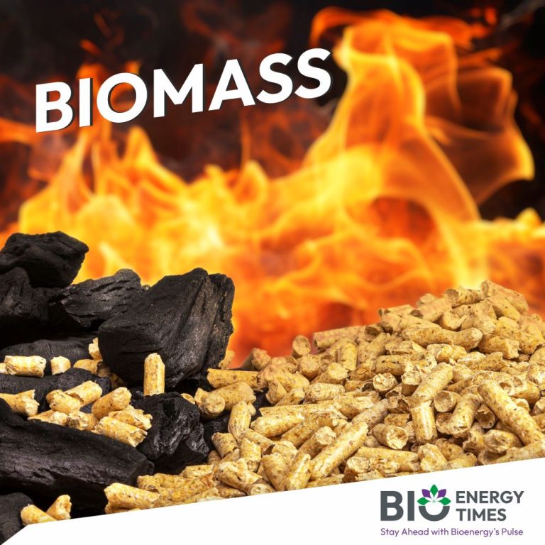 RENOVA Biomass plant resumes operations - BioEnergytimes