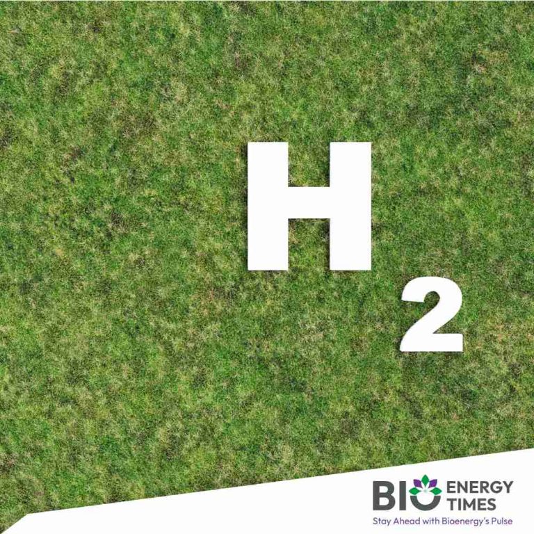 China poised to lead global green hydrogen market as US withdraws ...