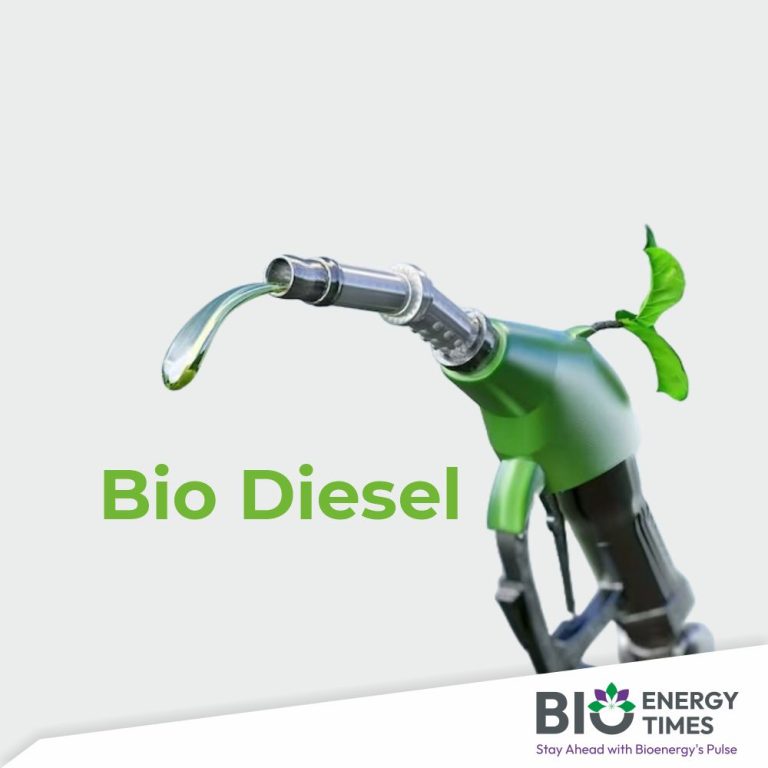 US renewable diesel and biodiesel production drops sharply in first ...