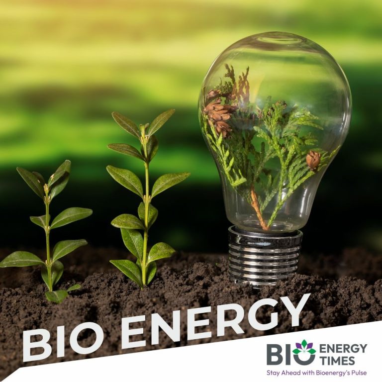 British Columbia introduces new law requiring eligible renewable fuels ...