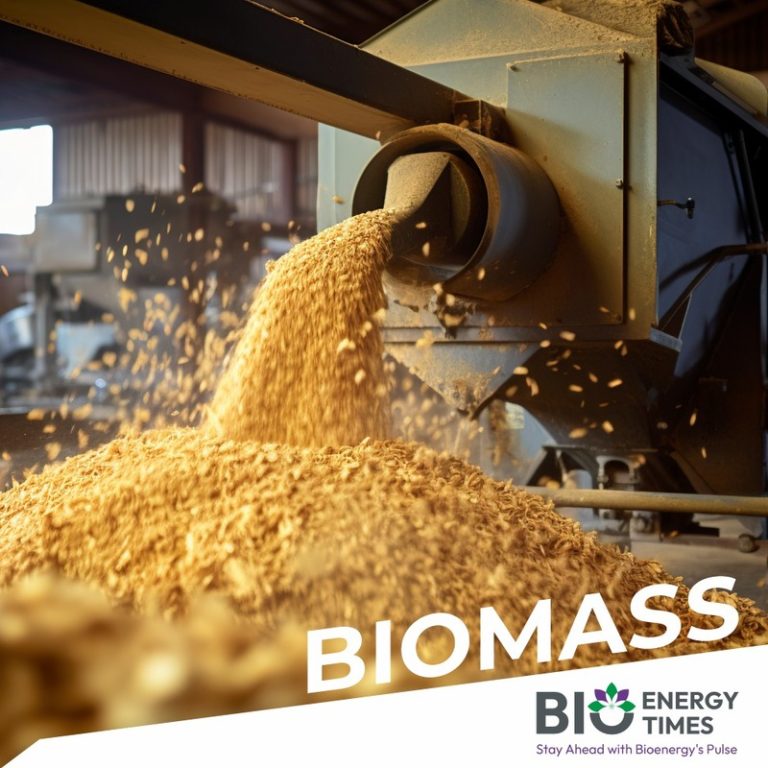 Japan: Groups call for a stop to imported wood biomass - BioEnergy Times
