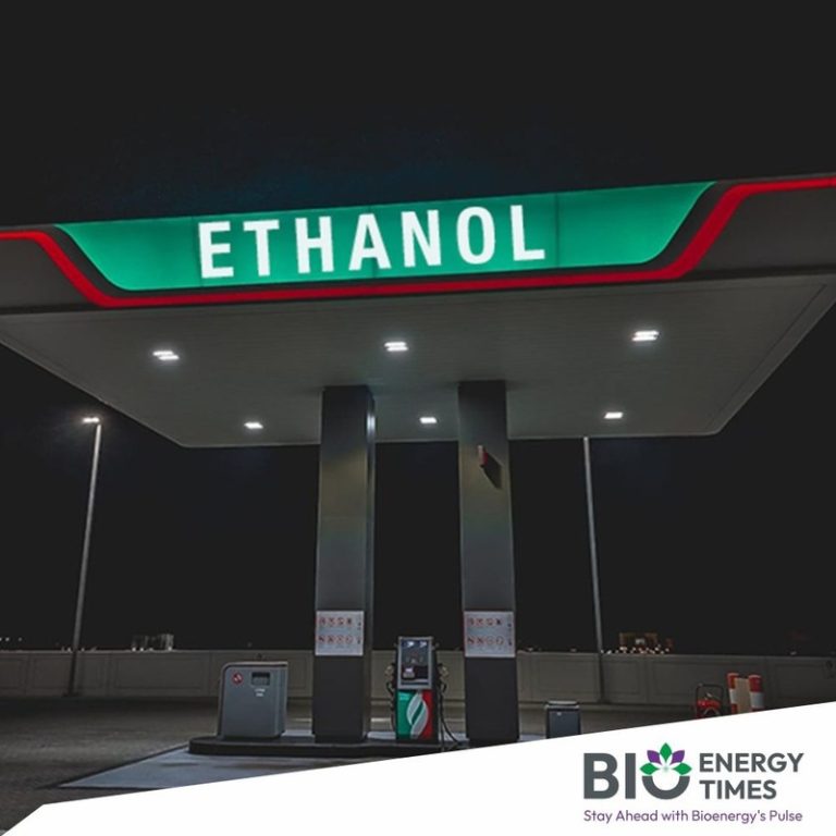 ESY 2024-25: Oil Marketing Companies invite bid for 916 crore litres of ethanol - BioEnergy Times