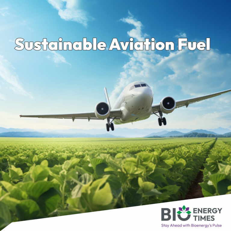 Southeast Asia’s feedstocks can supply around 12% of global sustainable ...