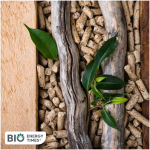Canada introduces tax credits to boost biomass projects, support forest ...